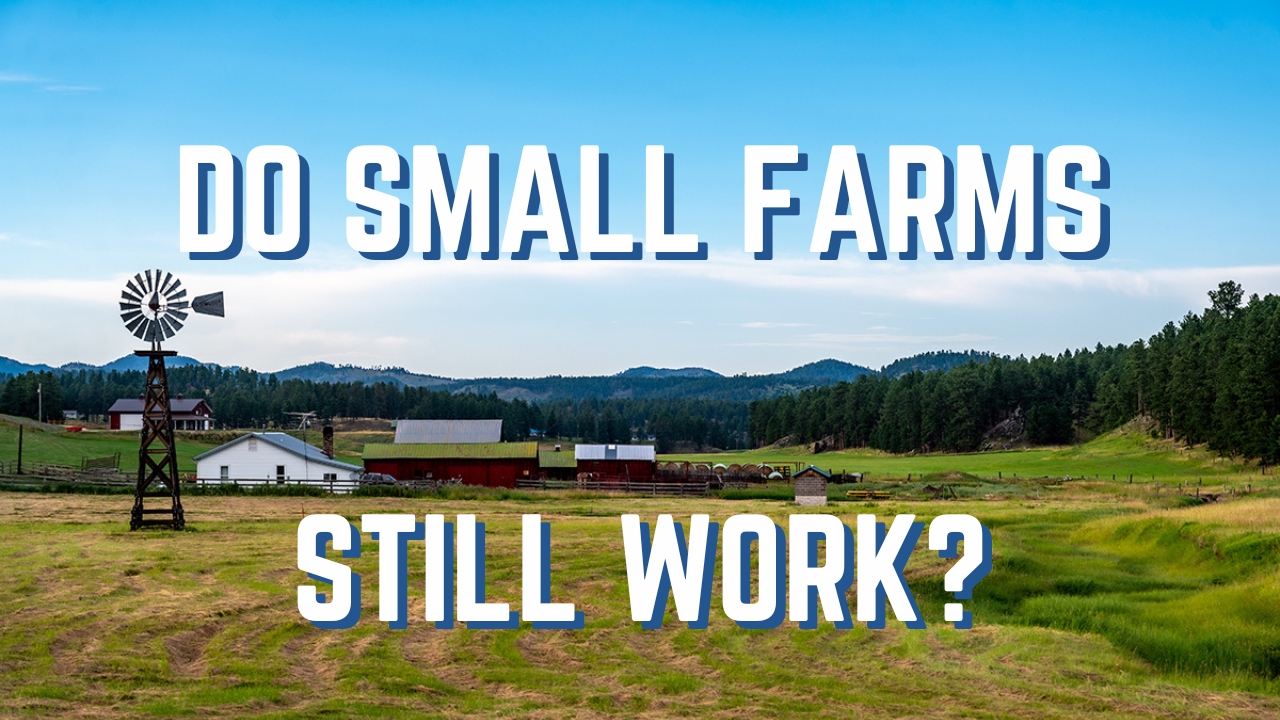 Big Team Farms – Videos – Mother Earth News